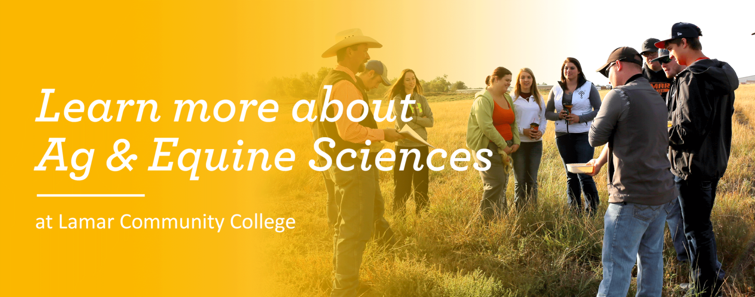 Lamar CC – Life Changing College