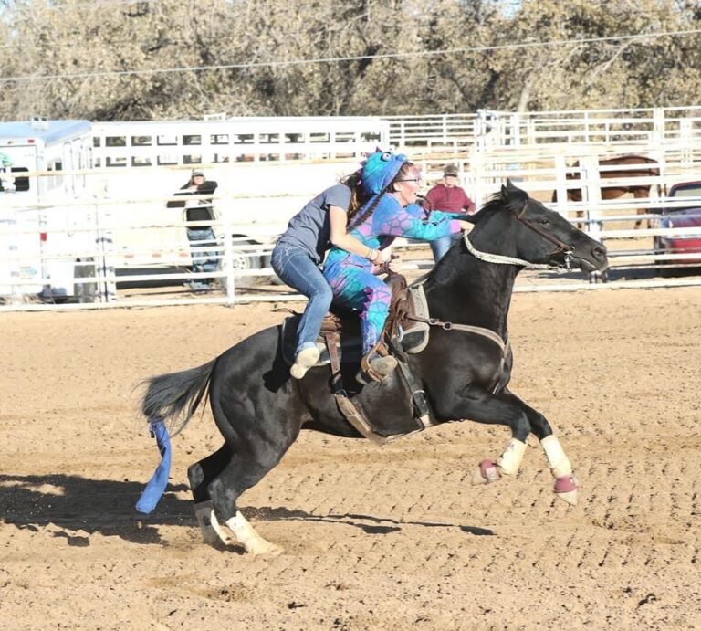 Equine Programs – Lamar CC