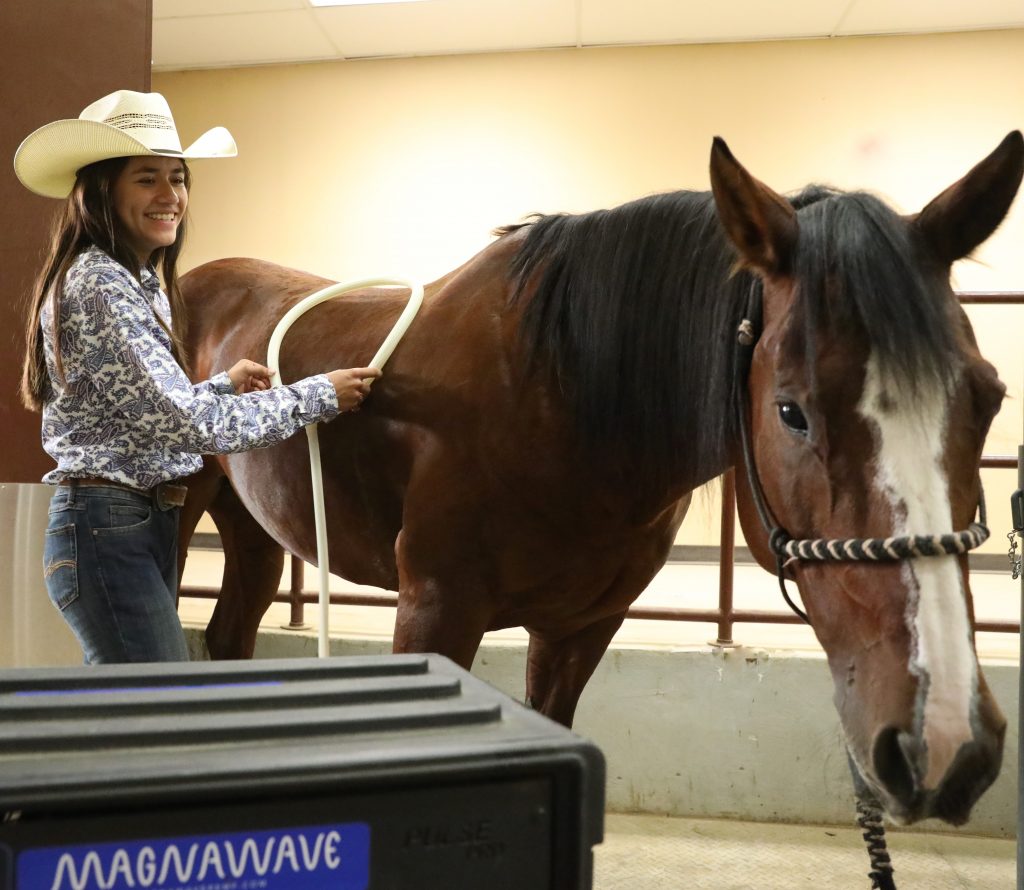 Lamar Community College Horse Programs – Lamar CC