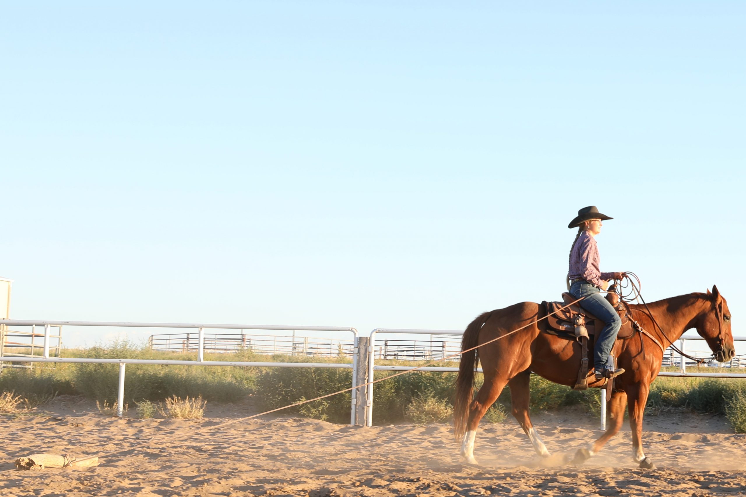 Lamar Community College Horse Programs – Lamar CC