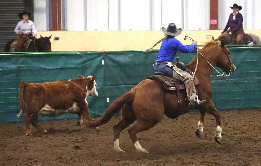 Ranch Horse Team – Lamar CC