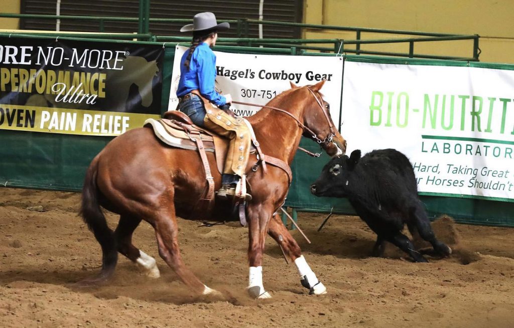 Ranch Horse Team – Lamar CC