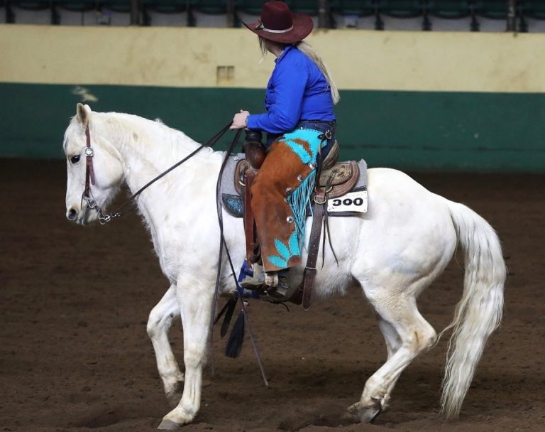 Ranch Horse Team – Lamar CC
